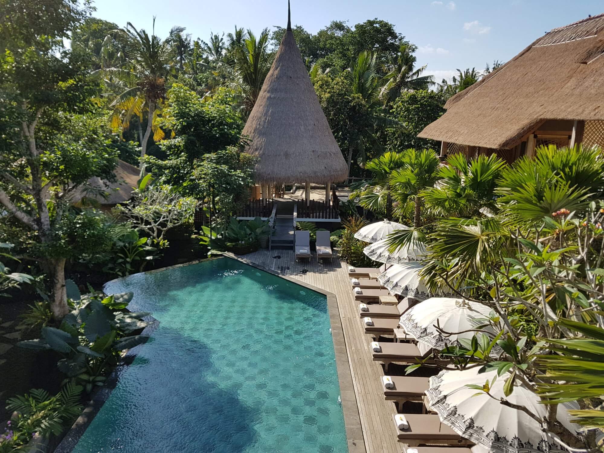 The Alena Resort | Smukt resort midt i den grønne jungle